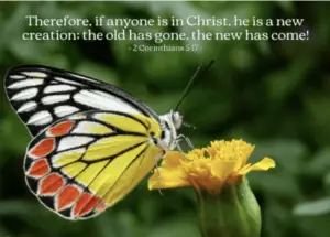 75 Life Changing Affirmations About Your Identity in Christ – Walk with ...